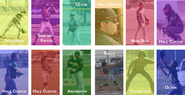 Springlake-Earth High School | Wolverine Baseball Home Page